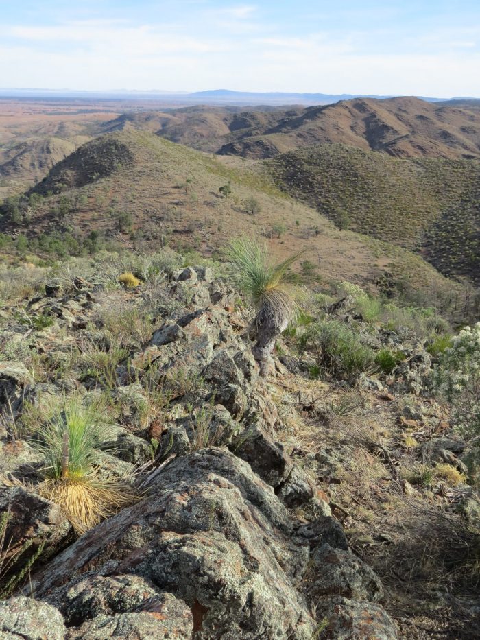 Explore - Visit Orroroo